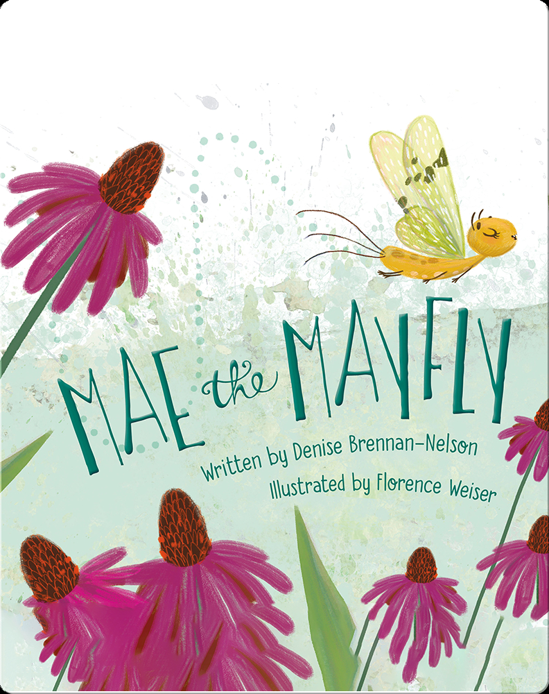 Mae the Mayfly Book by Denise Brennan-Nelson | Epic