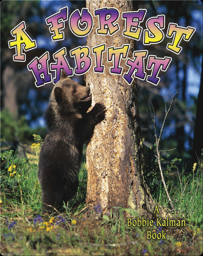 A Forest Habitat Book by Bobbie Kalman | Epic