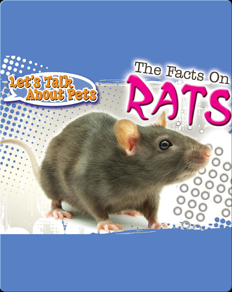 Let's Talk About Pets: The Facts On Rats Book by David Armentrout ...