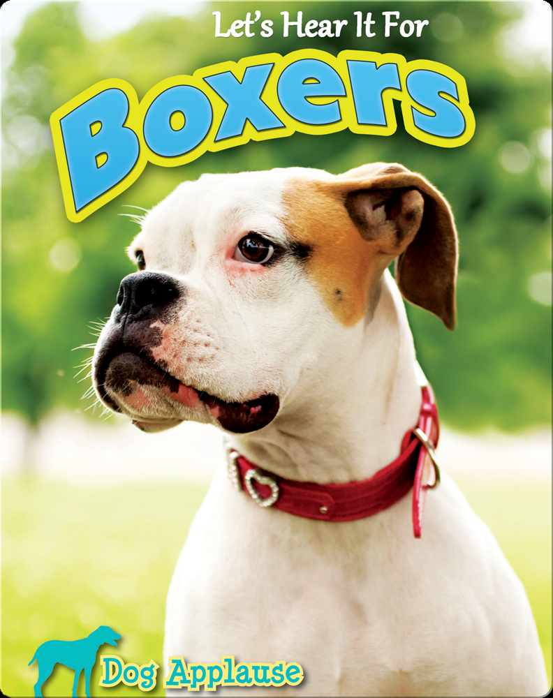 Let's Hear It For Boxers Book by Piper Welsh | Epic