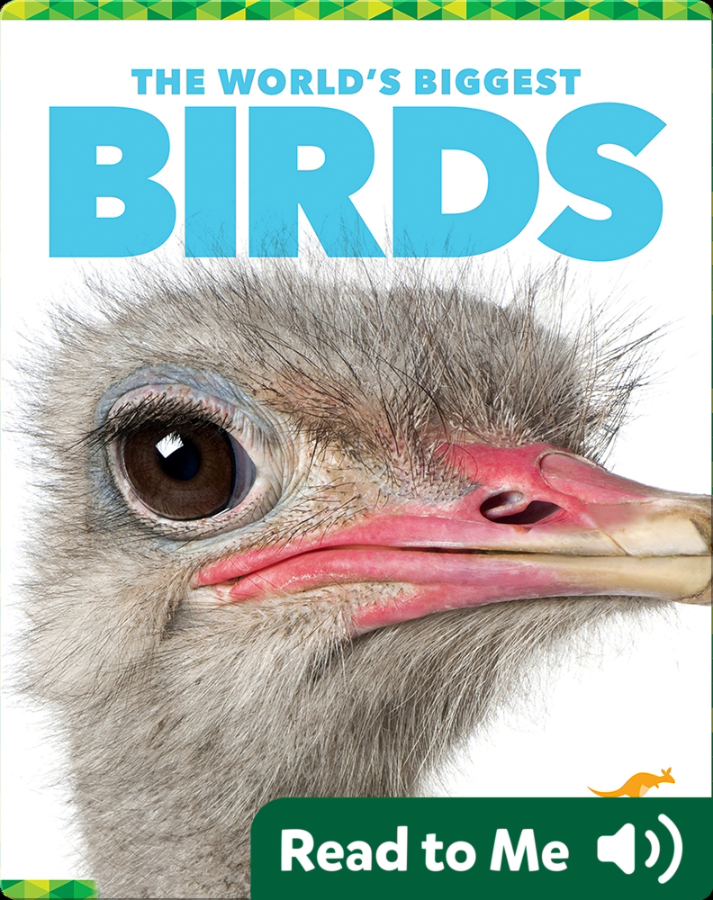 The World's Biggest Birds Book by Mari Schuh | Epic