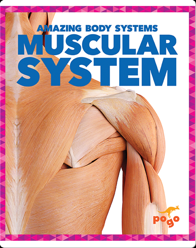 Amazing Body Systems: Muscular System Book by Karen Latchana Kenney | Epic