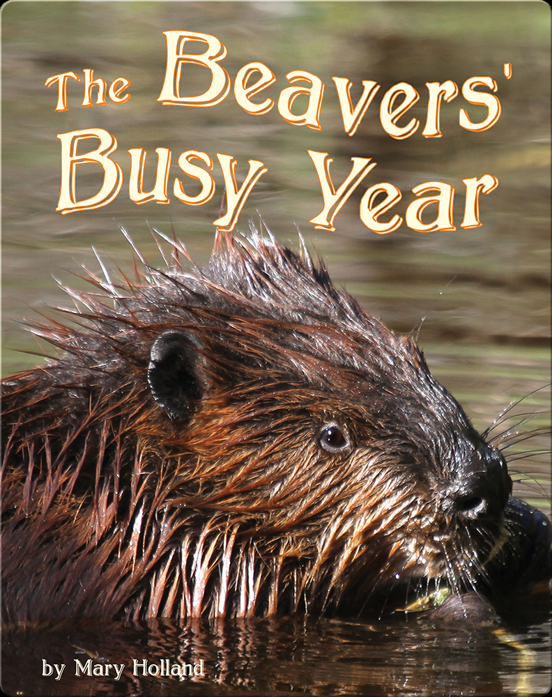 The Beavers' Busy Year Book by Mary Holland | Epic