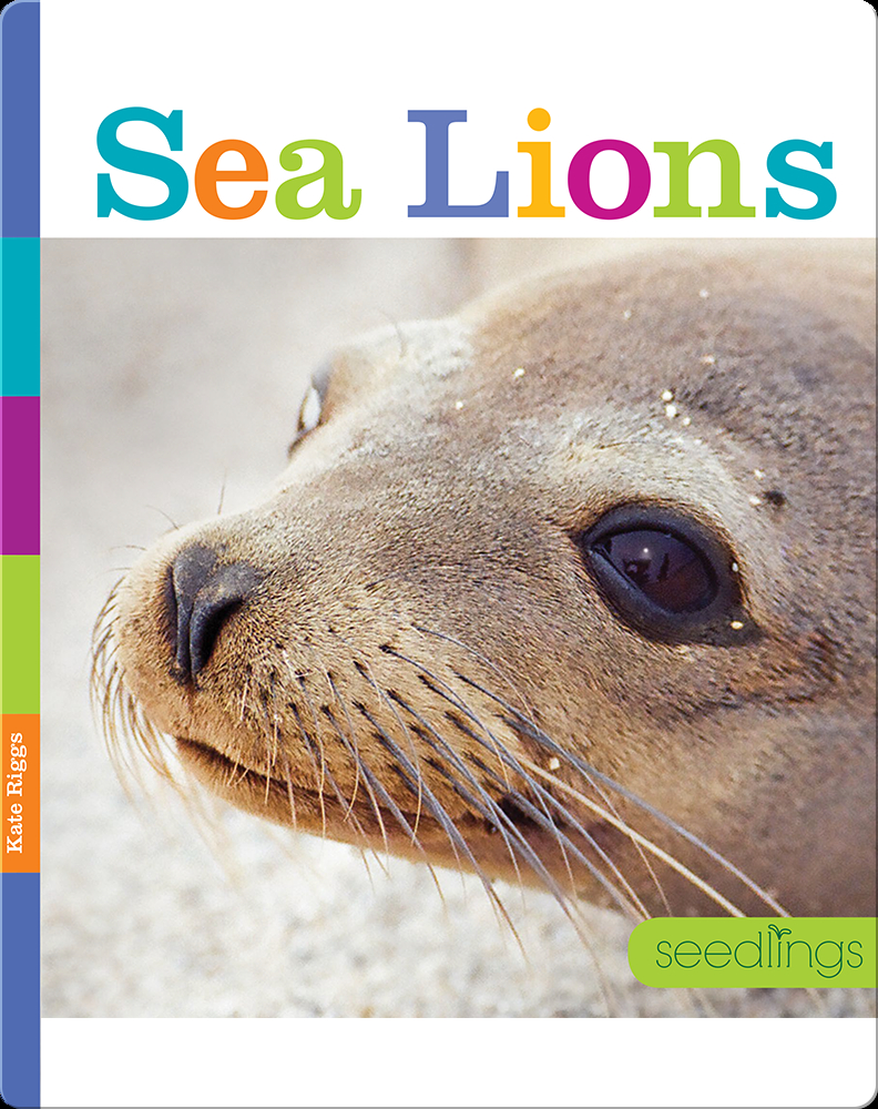 Sea Lions Book by Kate Riggs | Epic