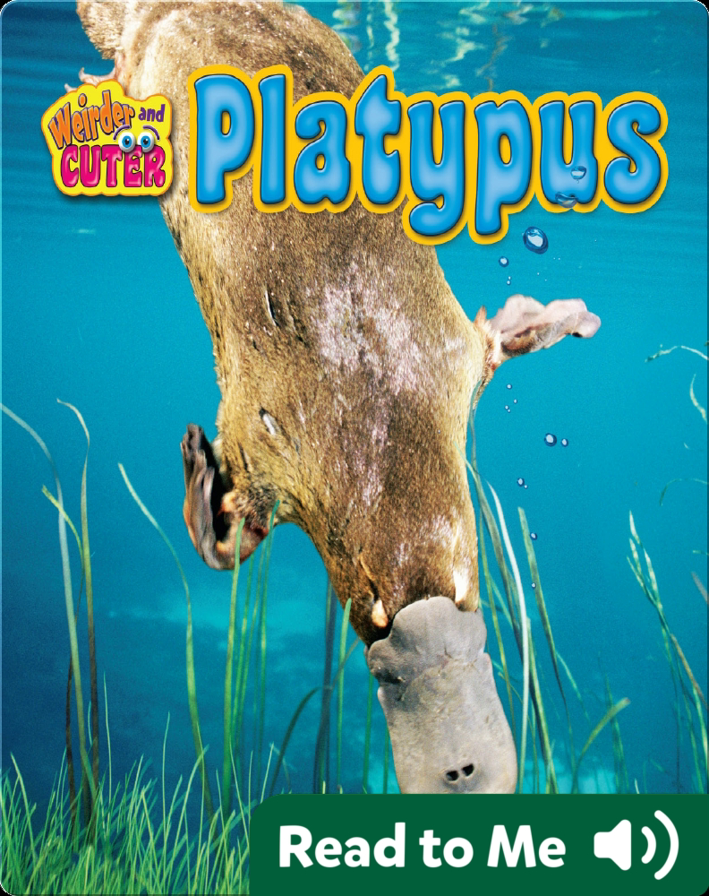 Platypus Book by Jessica Rudolph | Epic