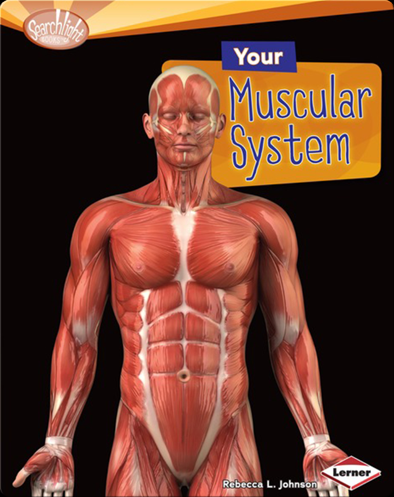 Your Muscular System Book by Rebecca L. Johnson | Epic