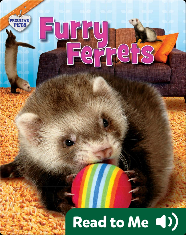 Furry Ferrets Book by Natalie Lunis | Epic