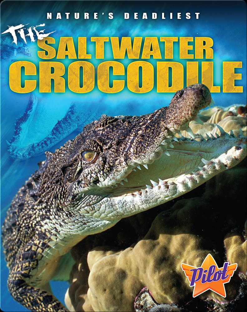 The Saltwater Crocodile Book by Colleen Sexton | Epic