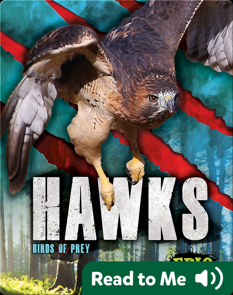 Hawks Book by Nathan Sommer | Epic