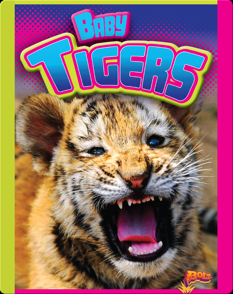 Baby Tigers Book by Barbara Shafer | Epic