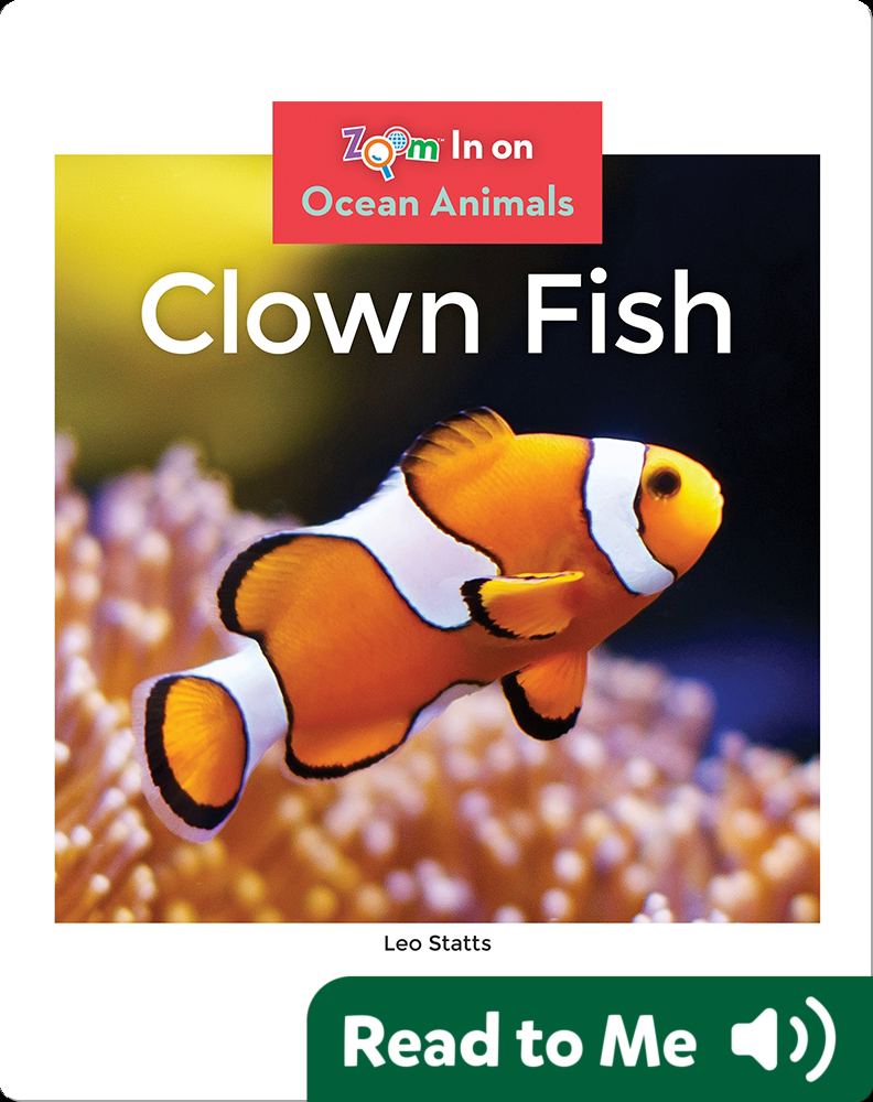 Clown Fish Book by Leo Statts | Epic