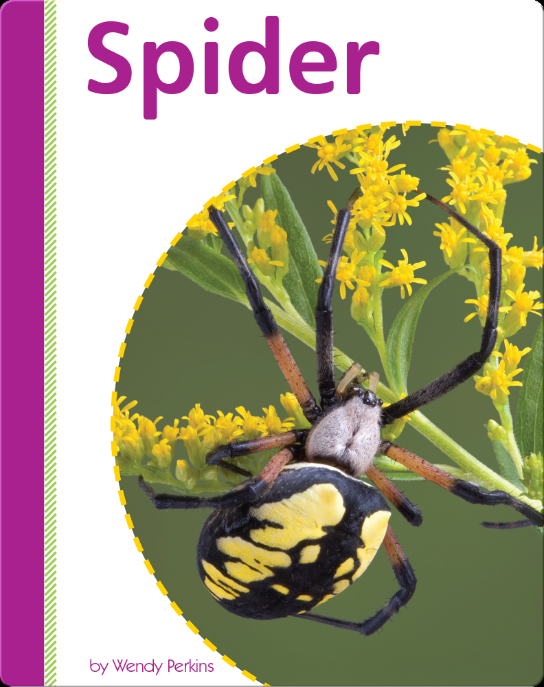 Spider Book by Wendy Perkins | Epic