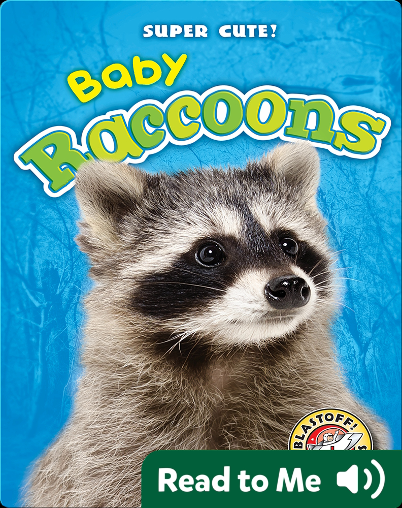Super Cute! Baby Raccoons Book by Megan Borgert-Spaniol | Epic