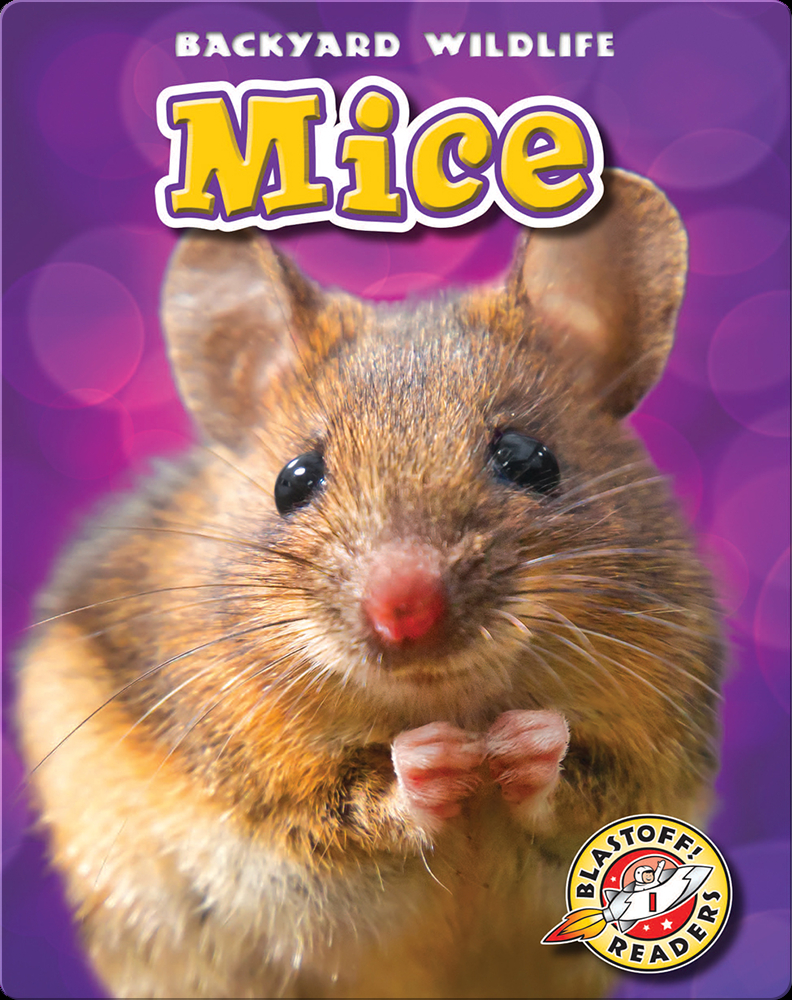 Backyard Wildlife: Mice Book by Kari Schuetz | Epic