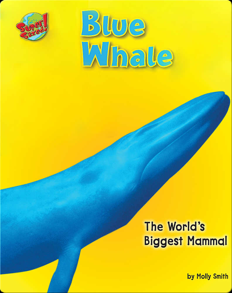 Blue Whale: The World's Biggest Mammal Book by Molly Smith | Epic