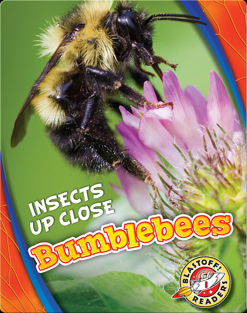 Bumblebees Book by Patrick Perish | Epic