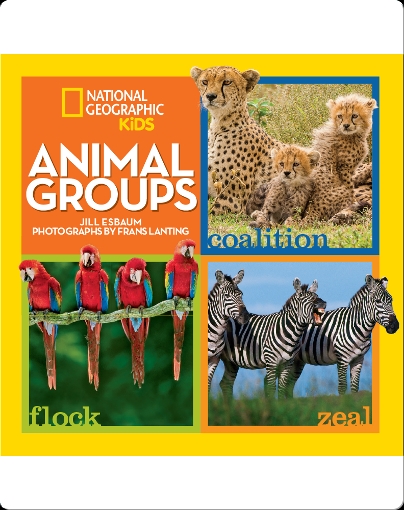 Animal Groups Book by Jill Esbaum | Epic