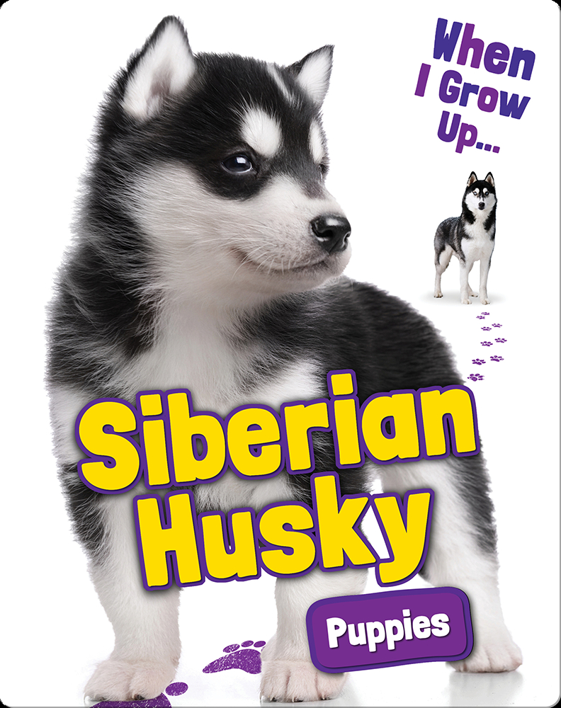 Siberian Husky Puppies Book by Emmie Chang | Epic