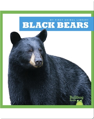 Bears (Non-Fiction) Children's Book Collection | Discover Epic Children ...