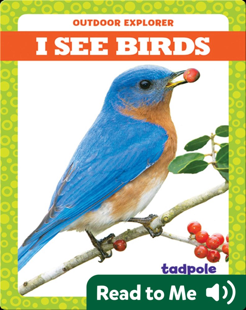I See Birds Book by Tim Mayerling | Epic