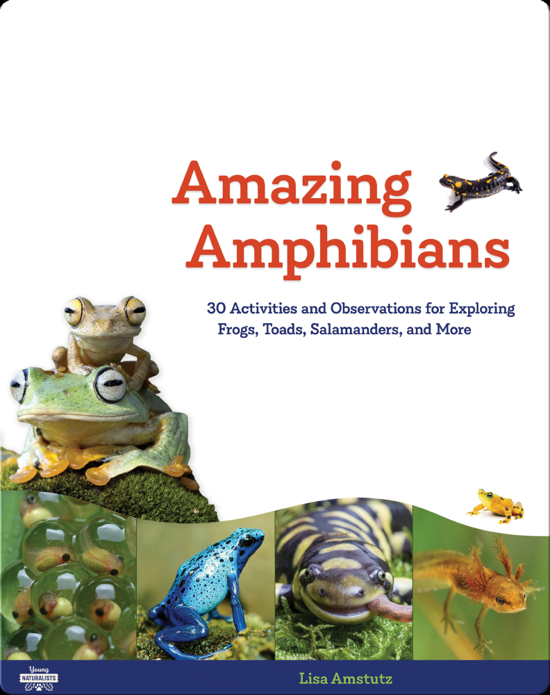 Amazing Amphibians Book by Lisa J. Amstutz | Epic
