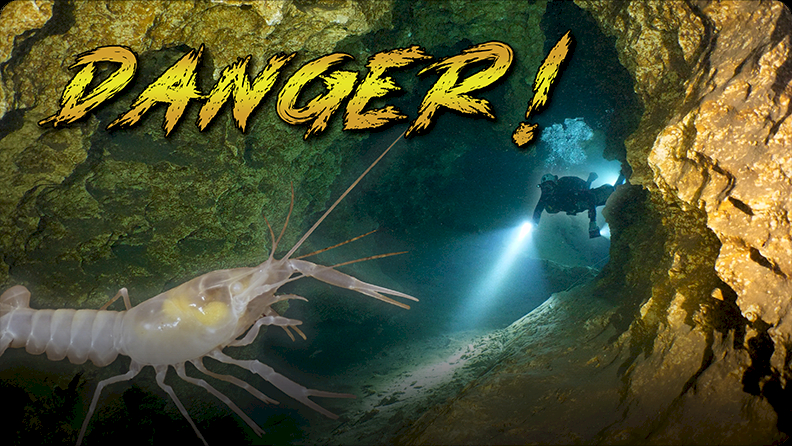 Jonathan Bird's Blue World: The Rules of Cave Diving Video | Discover ...