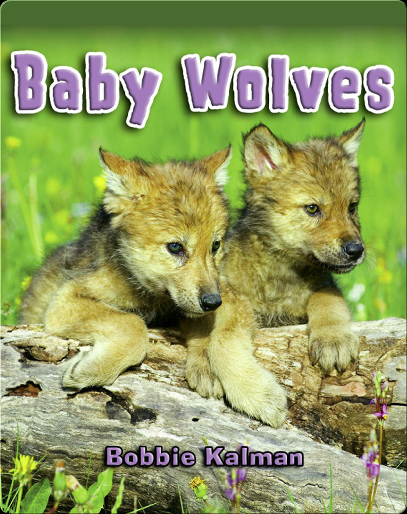 Baby Wolves Book by Bobbie Kalman | Epic