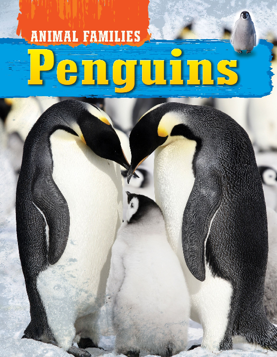 Penguins Book by Black Rabbit Books | Epic