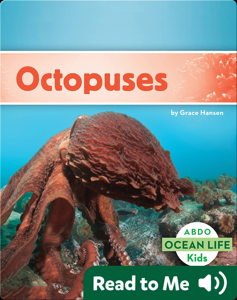 Octopuses Book by Grace Hansen | Epic