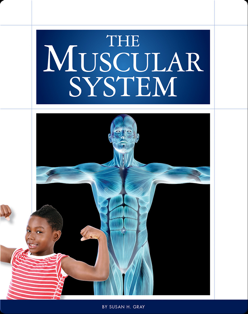 The Muscular System Book by Susan H. Gray | Epic