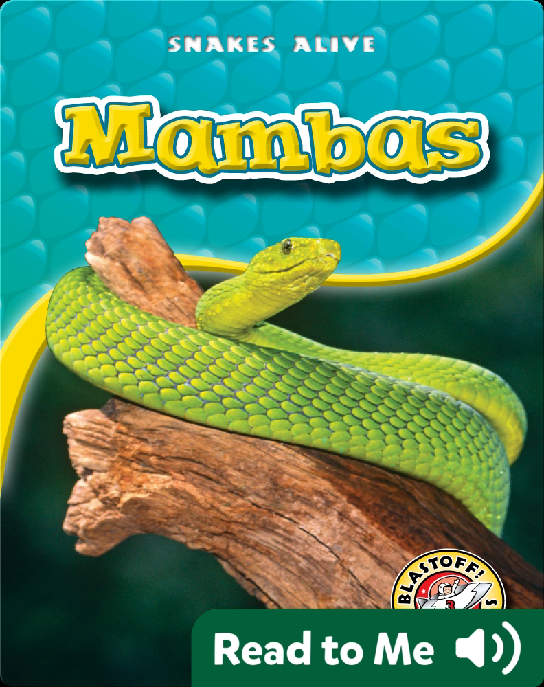 Mambas Book by Colleen Sexton | Epic