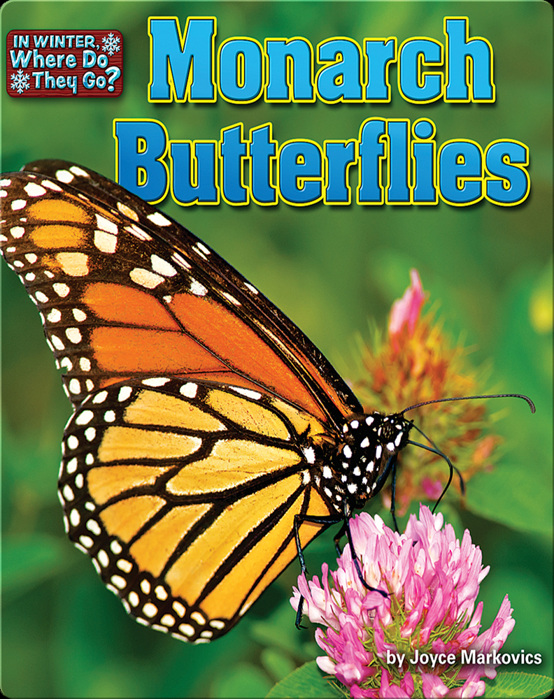Monarch Butterflies Book by Joyce Markovics | Epic