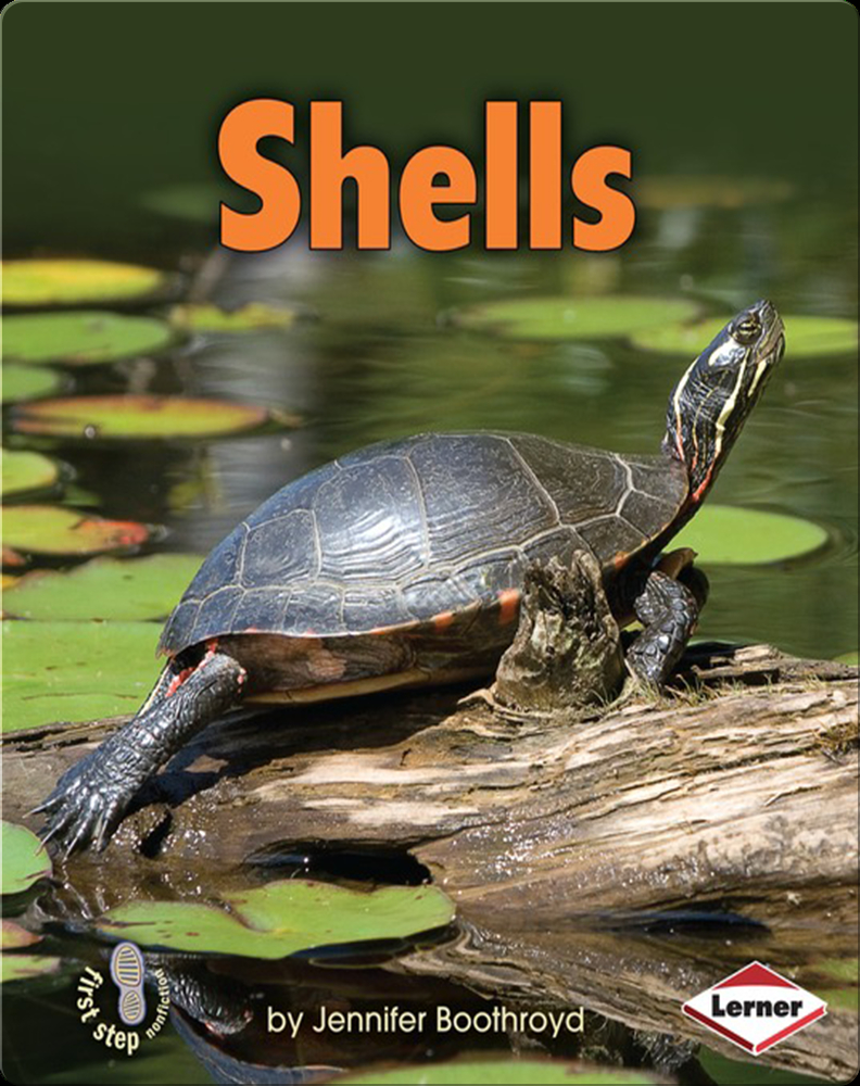 Shells Book by Jennifer Boothroyd | Epic