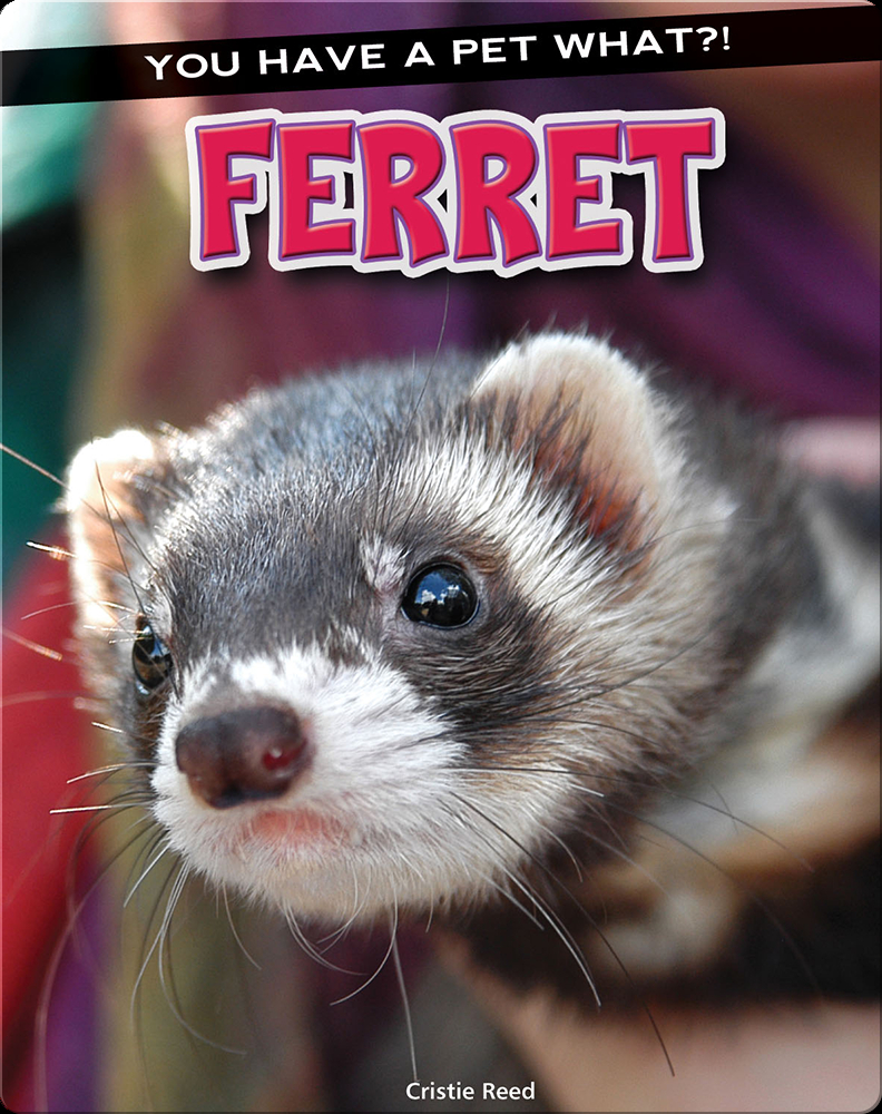 Ferret Book by Cristie Reed | Epic