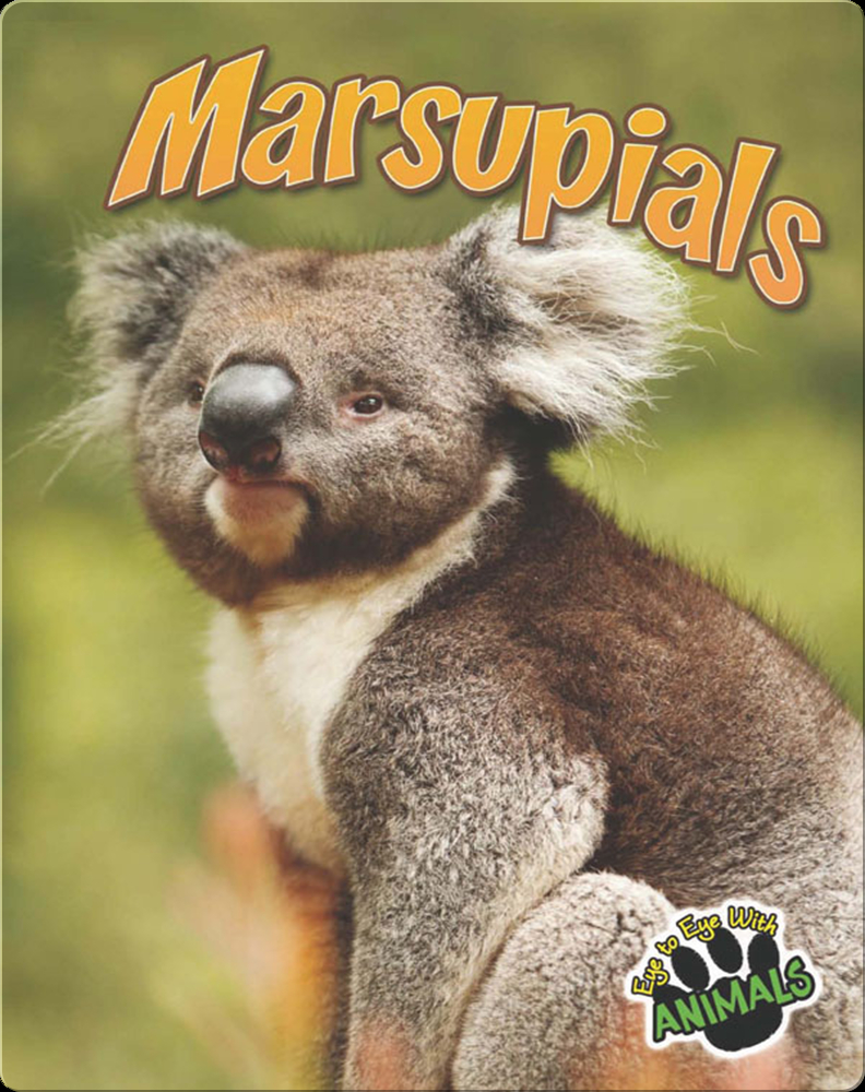 Marsupials Book by Jeanne Sturm | Epic
