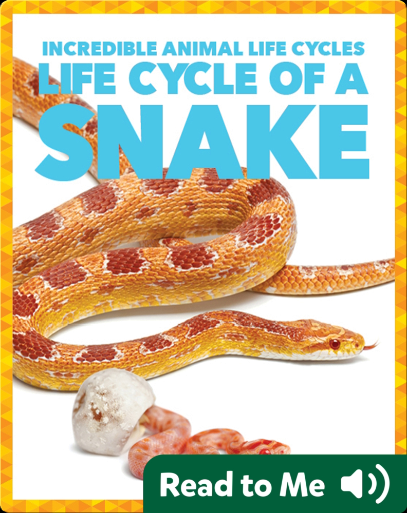 Life Cycle of a Snake Book by Karen Latchana Kenney | Epic
