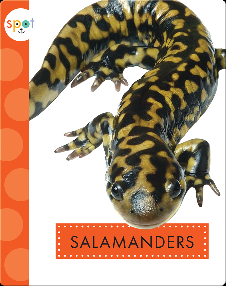 Backyard Animals: Salamanders Book by Mari Schuh | Epic