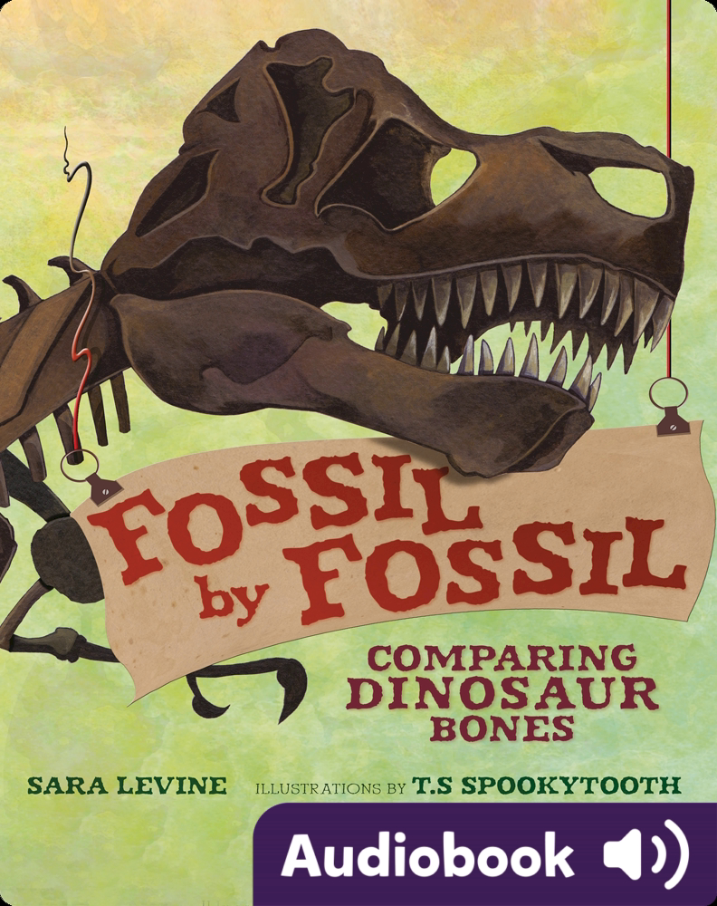 Fossil by Fossil: Comparing Dinosaur Bones Children's Audiobook by Sara ...