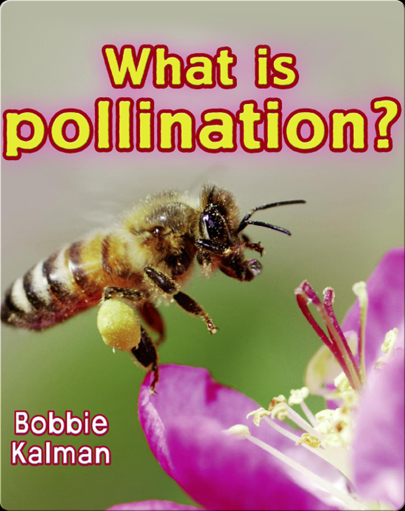 What Is Pollination? Book by Bobbie Kalman | Epic