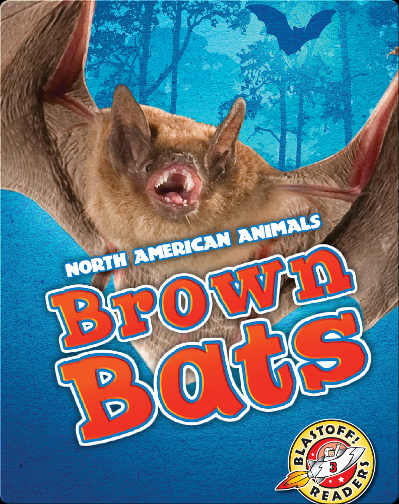 North American Animals: Brown Bats Book by Christina Leaf | Epic
