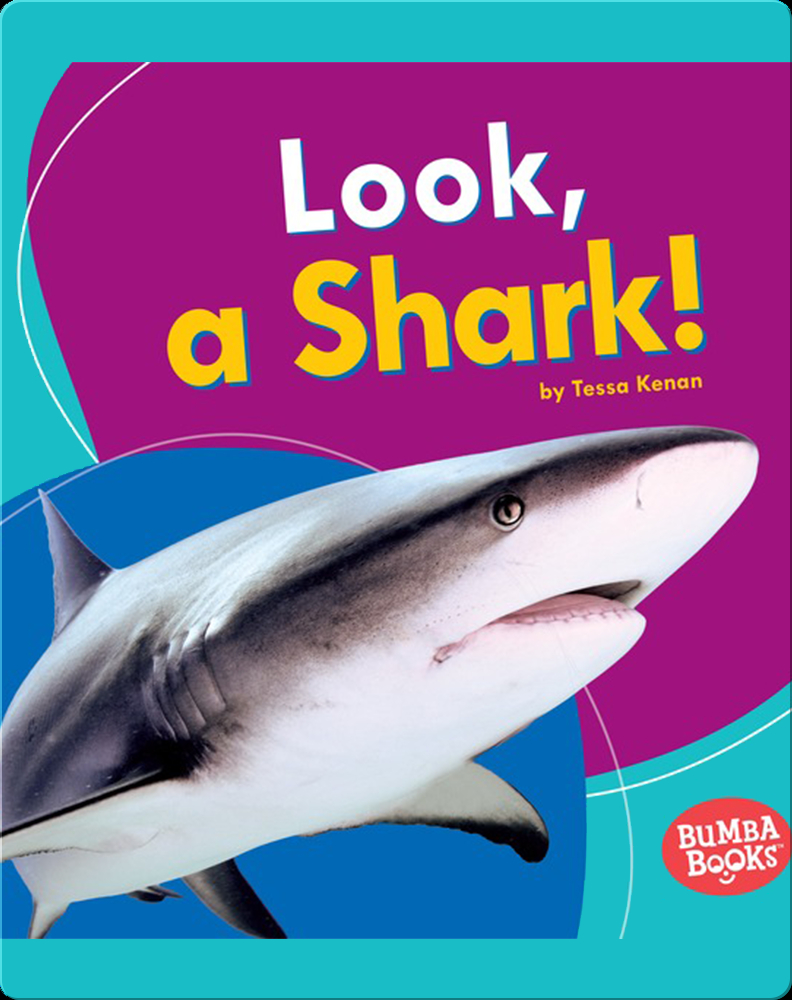 Look, a Shark! Book by Tessa Kenan | Epic