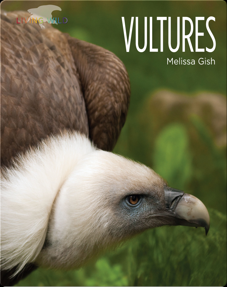 Vultures Book by Melissa Gish | Epic