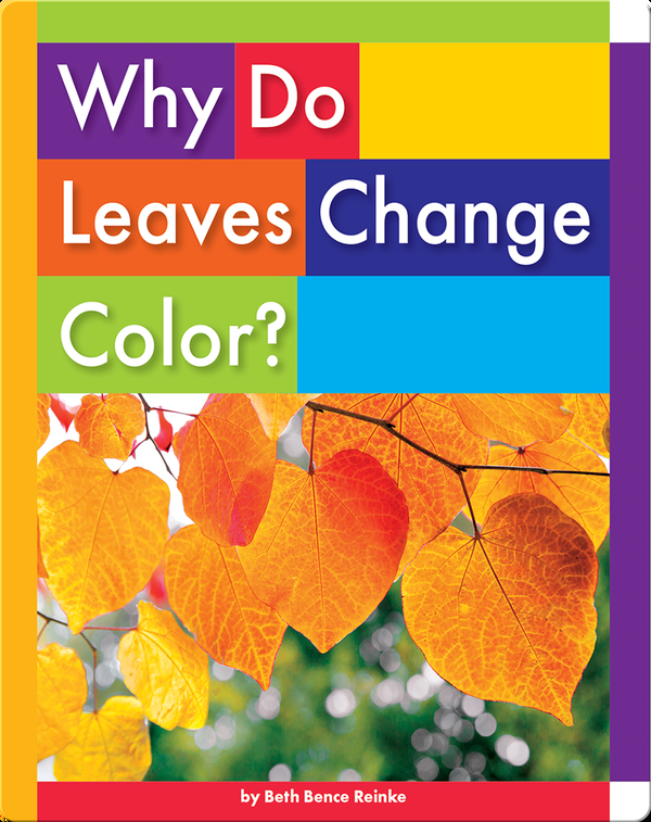 Why Do Leaves Change Color? Book by Beth Bence Reinke | Epic