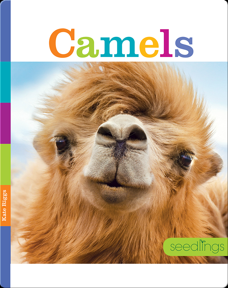 Camels Book by Kate Riggs | Epic