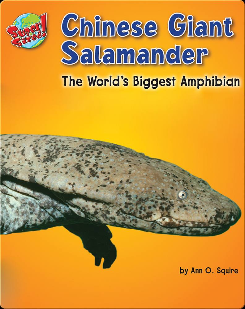 Chinese Giant Salamander: The World's Biggest Amphibian Book by Ann O ...