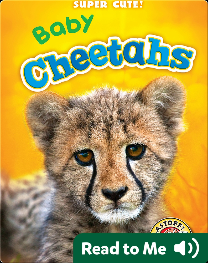 Super Cute! Baby Cheetahs Children's Book by Christina Leaf | Discover ...