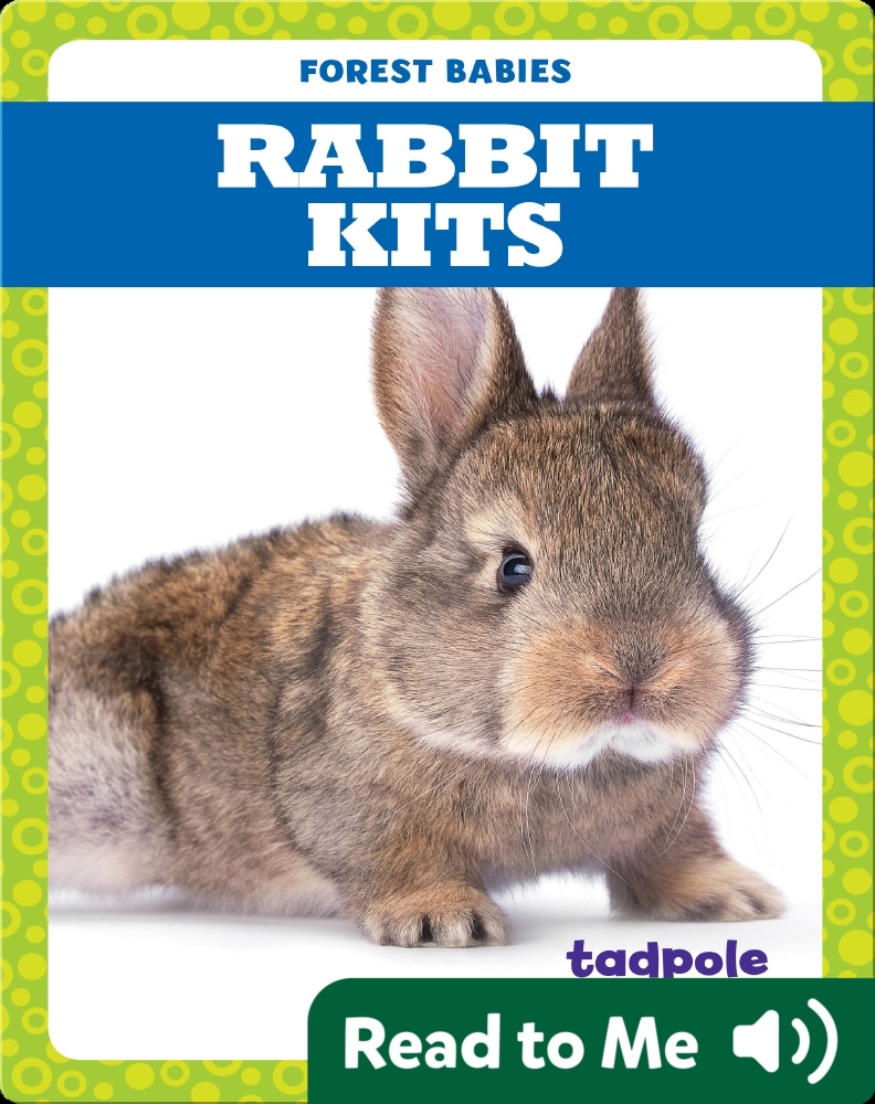 Rabbit Kits Book by Genevieve Nilsen | Epic