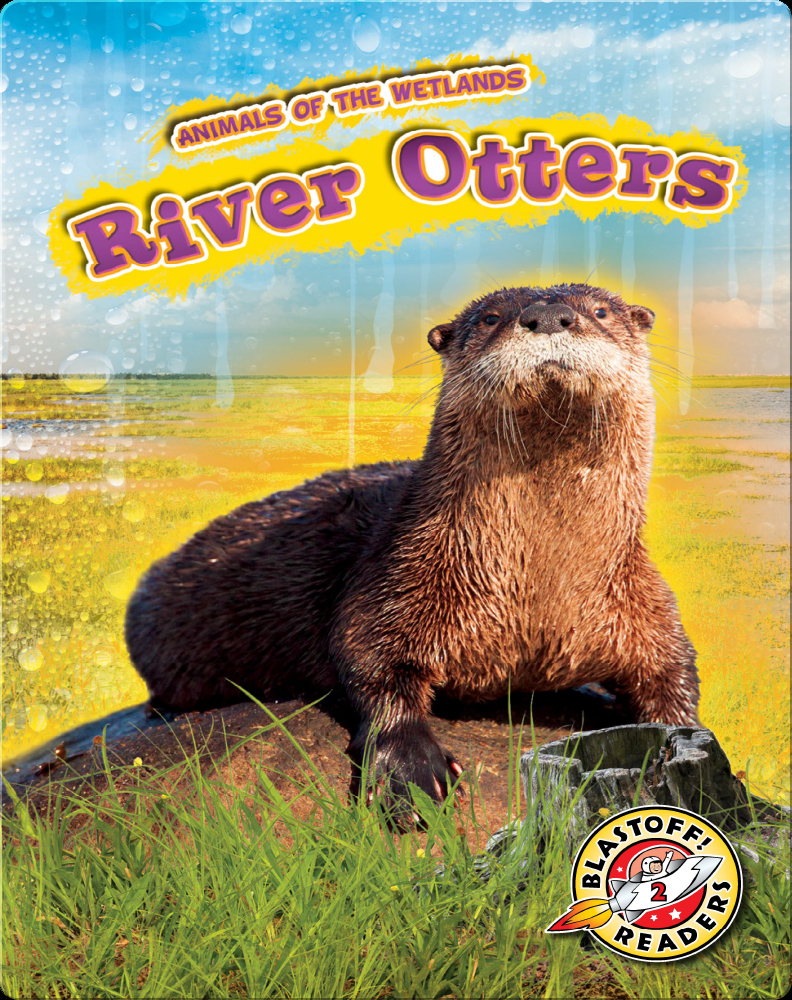 Animals of the Wetlands: River Otters Book by Karen Latchana Kenney | Epic