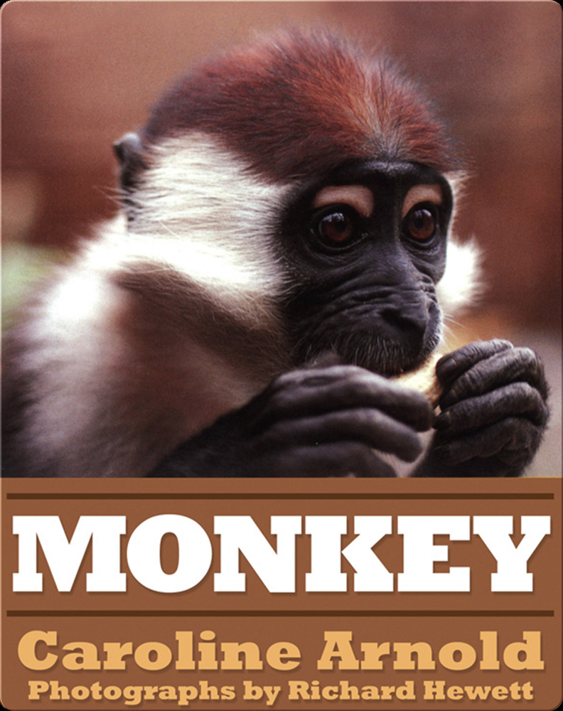 Monkey Book by Caroline Arnold | Epic