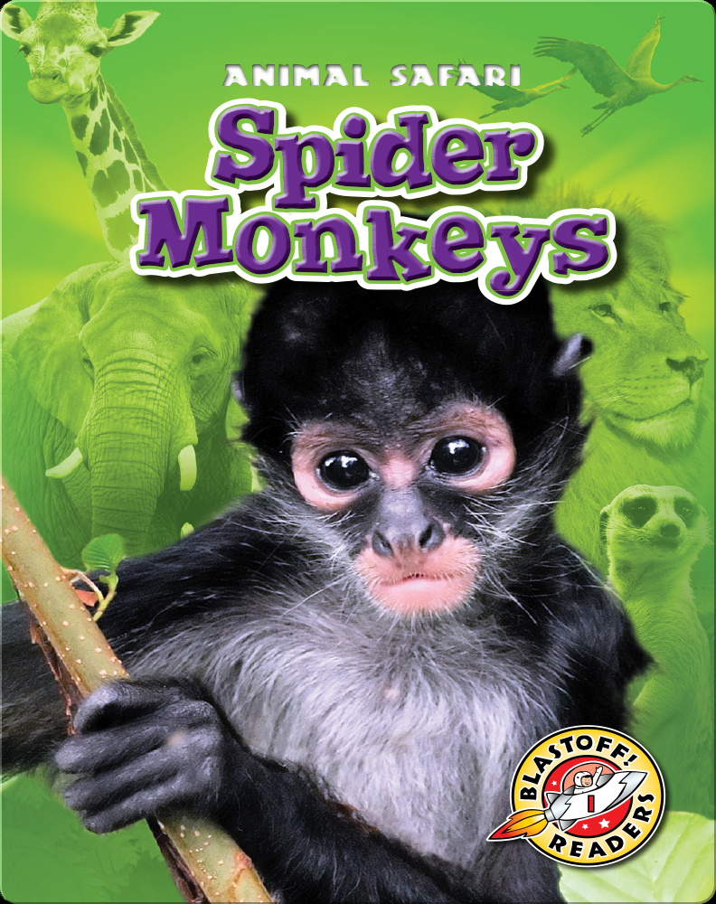 Spider Monkeys Book by Megan Borgert-Spaniol | Epic